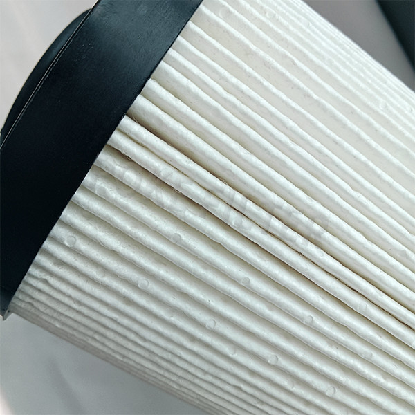 FS20117 278609119910 50118182 Fuel Filter Element , Fuel Water ...