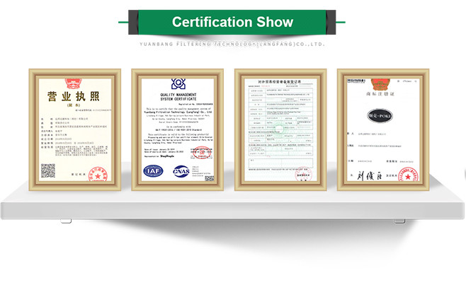 Fiberglass Element Fuel Filter 4642641 4715072 P502422 Khh0534 Me301897 ...